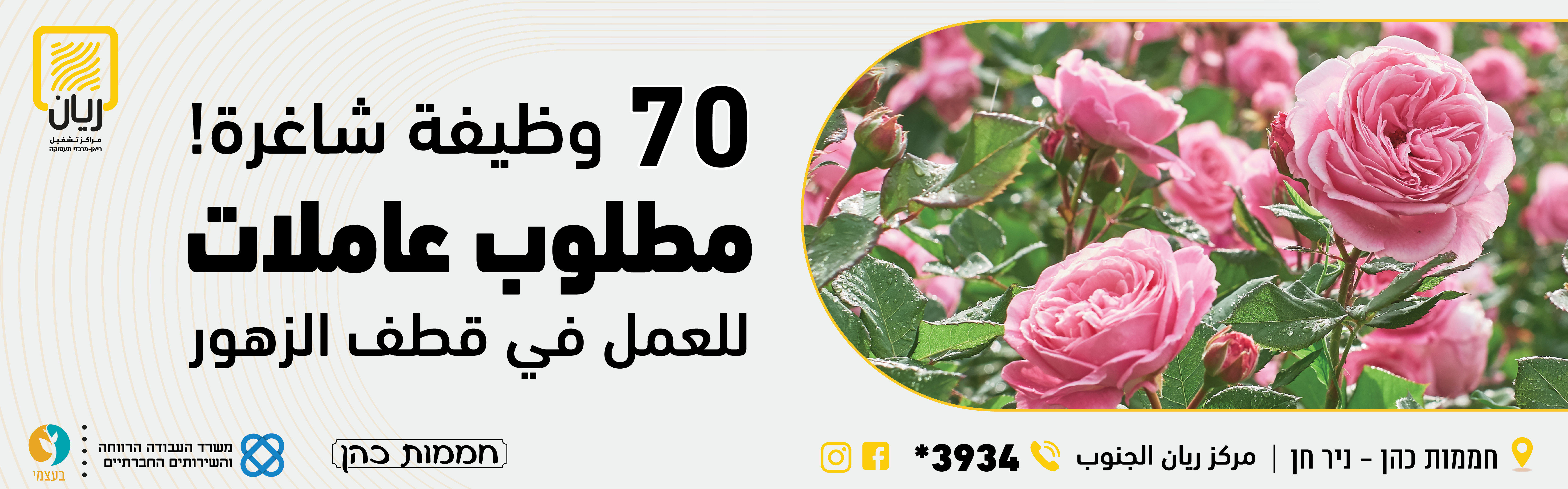 CohenHub – ريان